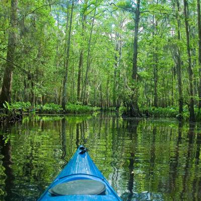Manchac Magic Kayak Swamp Tour | Manchac Magic