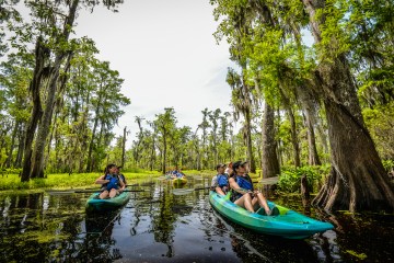 Manchac Magic Kayak Swamp Tour | Manchac Magic