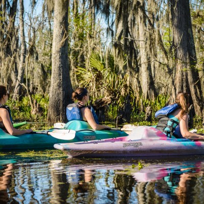 Manchac Magic Kayak Swamp Tour | Manchac Magic