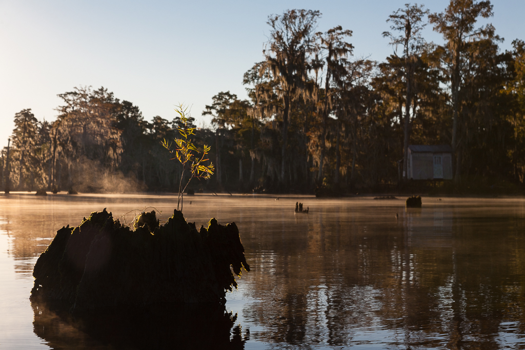 Swampy Photography