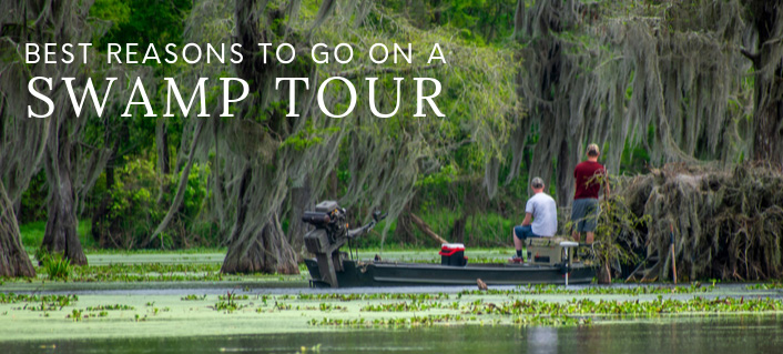 Best Reasons To Go On A Swamp Tour | Wild Louisiana Tours