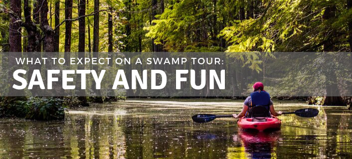 What to Expect on a Swamp Tour: Safety and Fun