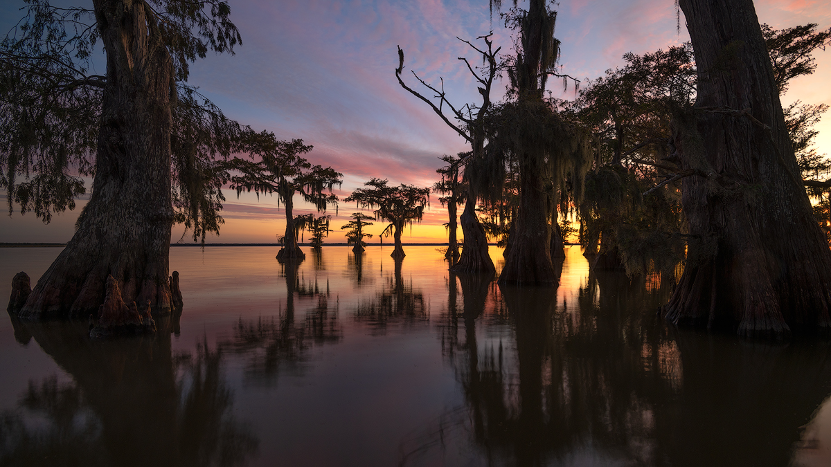 Fall Cypress Swamps Photography Workshop | Wild Louisiana Tours